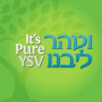 YSV :: Rayze.It Donation Platform