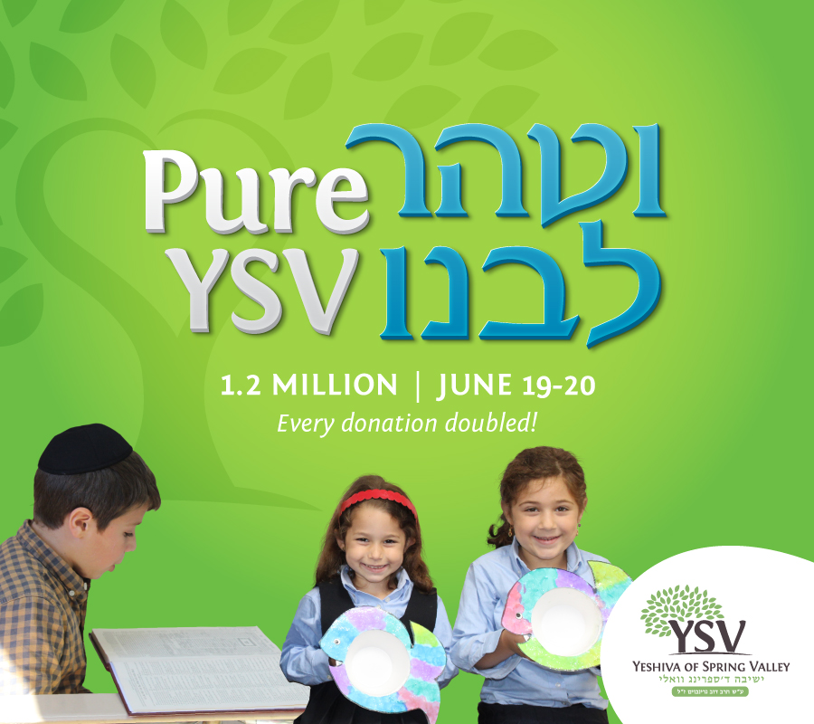 YSV :: Rayze.It Donation Platform