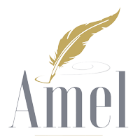 Amel Learning Inc. :: Rayze.It Donation Platform