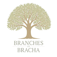 Branches Of Bracha :: Rayze.It Donation Platform