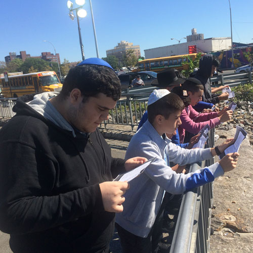 Sinai Academy The Sinai Legacy Campaign Continues