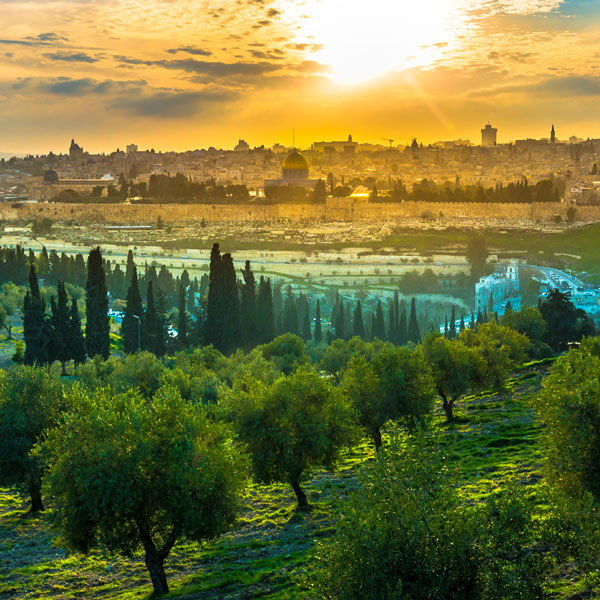 Yigdal :: Rayze.It Purchase Platform